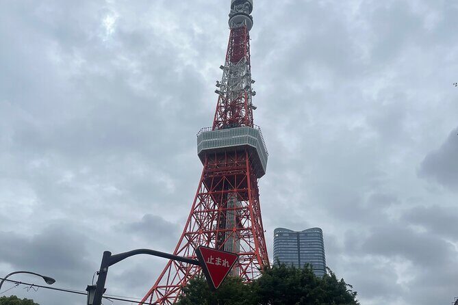 Japan 7 Days Tour - Who This Tour Is Best For