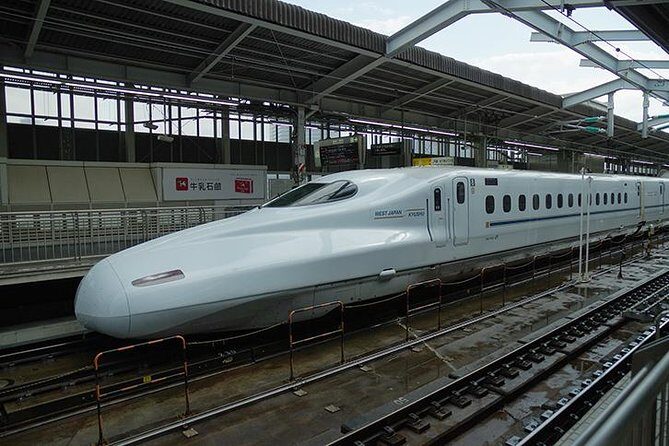 Japan Railway Station Shared Arrival Transfer : Shin Osaka Station to Osaka City - FAQ