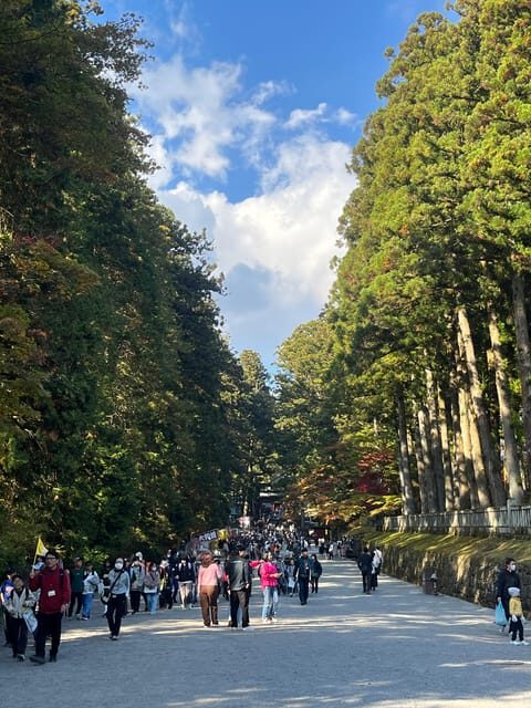 Japan: Tokyo and Countryside Private Tour with Guide - Who Will Love This Tour?