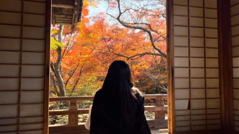 Japan: Travel Vlog: Self-Shoot Guide & Video Editing Service - The Itinerary and Key Highlights