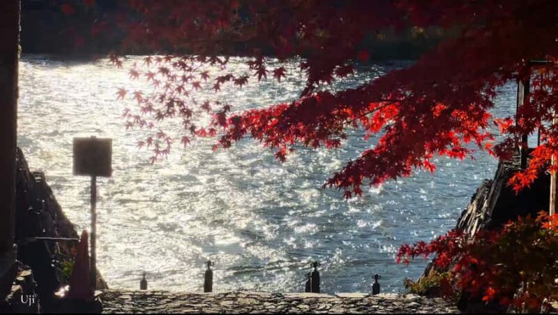 Japan: Travel Vlog: Self-Shoot Guide & Video Editing Service - The Value and Practicality