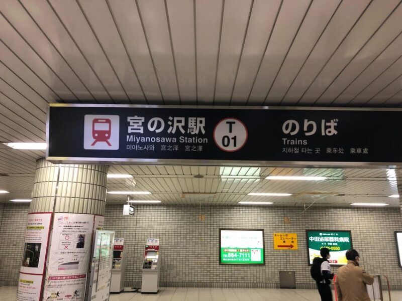 Japanese buckwheat noodle making experience in Sapporo,japan - Who Will Love This Tour?