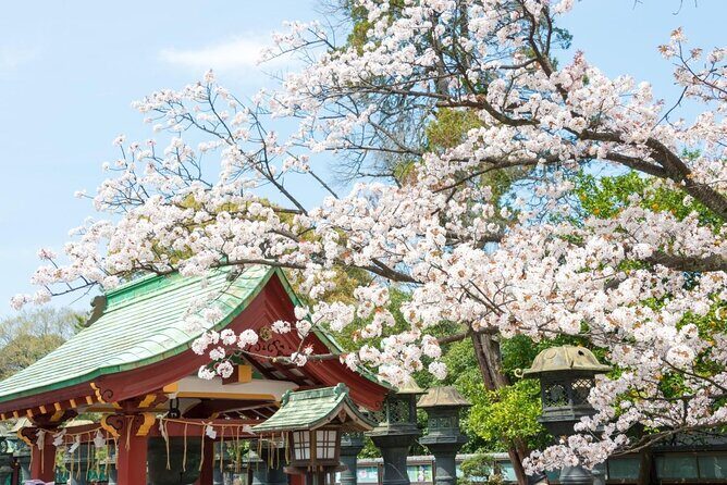 Japanese Food Experience Night Tour in Ueno - Key Points