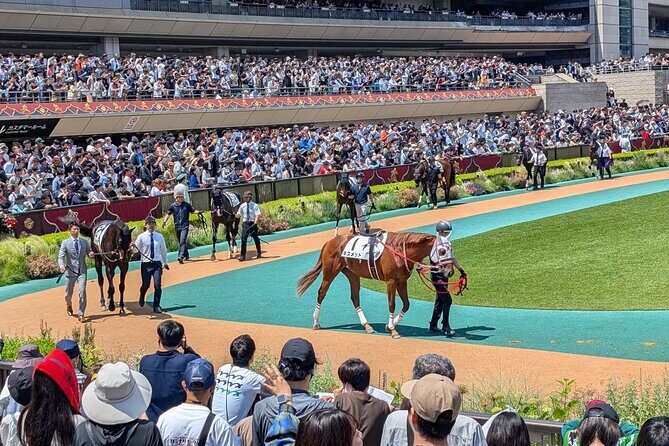 Japanese horseracing private tour with a local expert! - FAQ