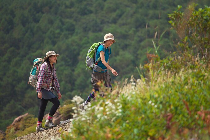 Japanese Serow Watching Tour - Who Is This Tour Best For?