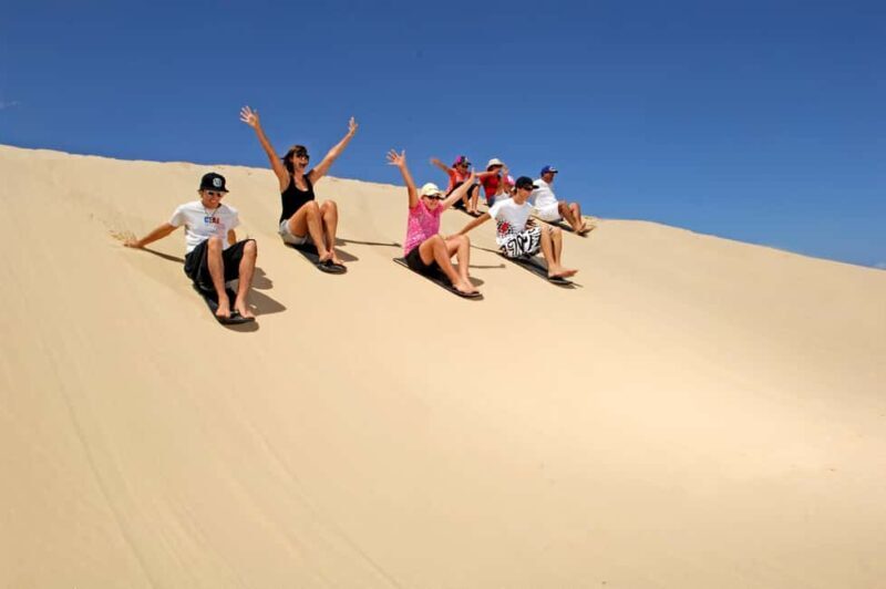 Japanese Tour: Port Stephens Dolphins, Koala & Sand Boarding - Starting from Sydney — The Practicalities