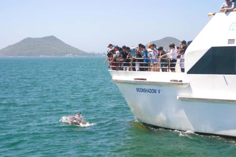 Japanese Tour: Port Stephens Dolphins, Koala & Sand Boarding - What’s Included & What’s Not