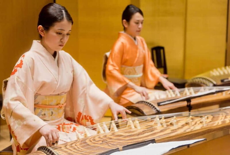 Japanese Traditional Music Show in Tokyo - What to Expect from the Japanese Traditional Music Show