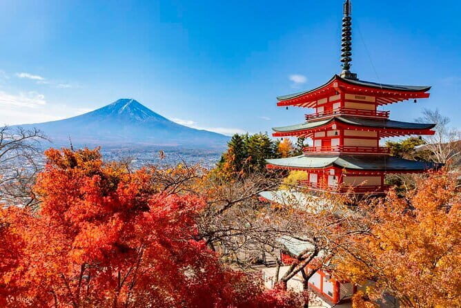 Japan's Best Mount Fuji Tour - Itinerary Breakdown: What You Can Expect