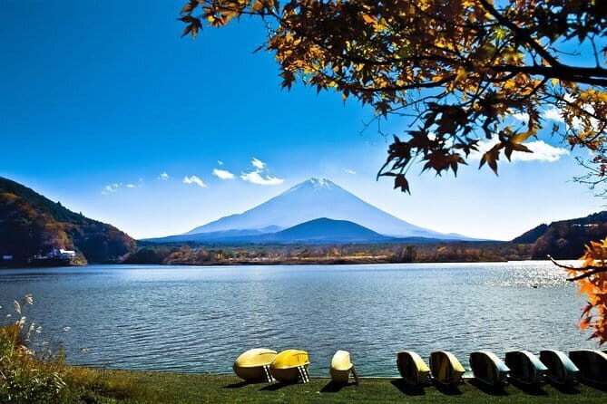 Japan's Best Mount Fuji Tour - Who Should Book This Tour?