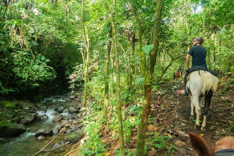 Jarabacoa: Private Baiguate Waterfall Horseback Riding Tour - An Authentic Ride Through the Dominican Countryside