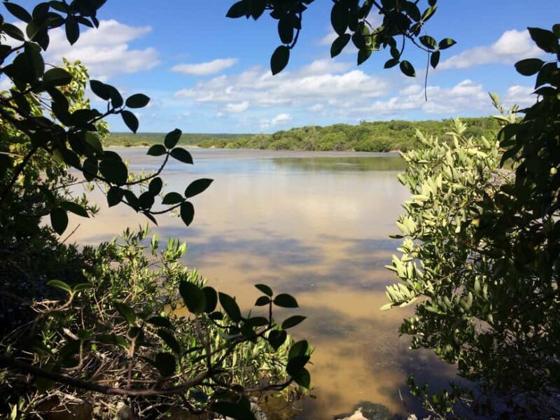 Jaragua National Park: Explore Laguna de Oviedo - Key Points