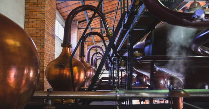 Jarnac: Braastad cognac discovery tour - Key Points