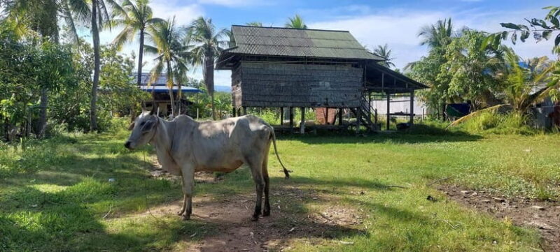 Jason's Countryside Experience - FAQs