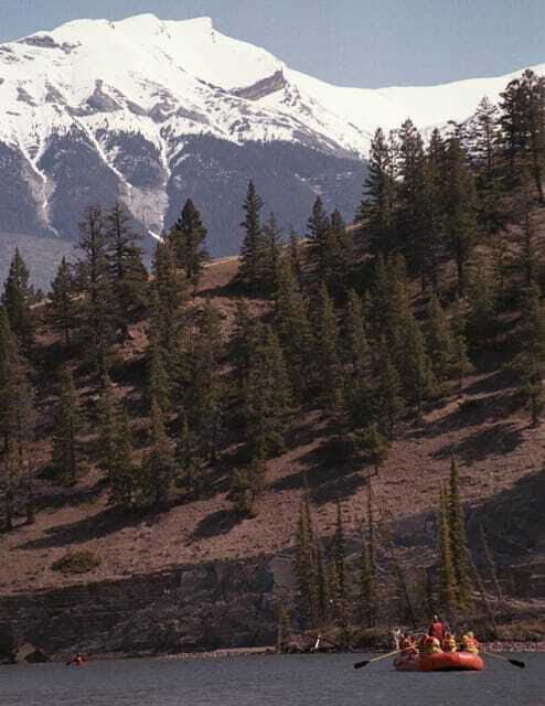 Jasper: Jasper National Park Easy 2-Hour Rafting Trip - Wildlife & Natural History