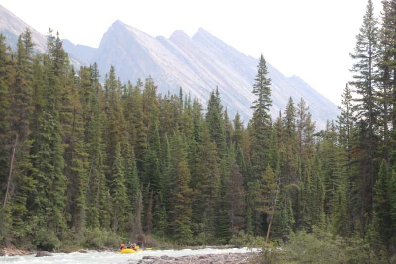 Jasper National Park: Sunwapta River White Water Rafting - An In-Depth Look at Jasper’s Sunwapta River Rafting