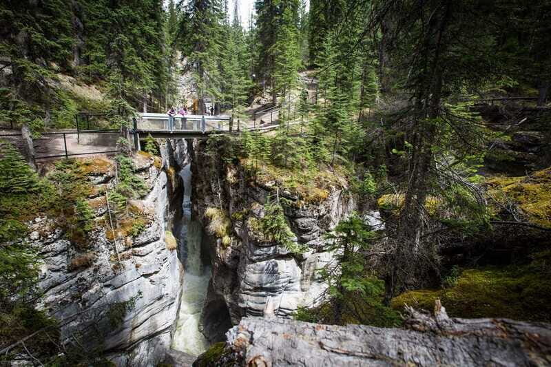 Jasper: Sightseeing Tour with Maligne Lake Cruise - What Travelers Say: Authentic Perspectives