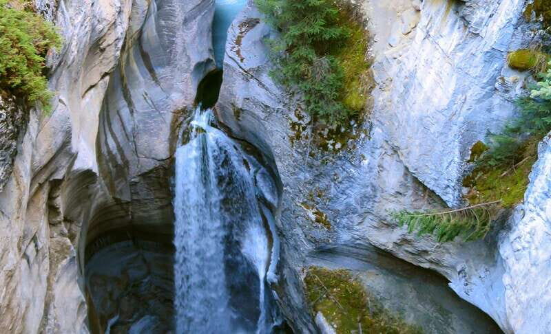 Jasper: Wildlife and Waterfalls Tour with Lakeshore Hike - The Itinerary In-Depth
