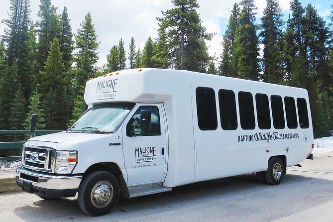 Jasper Wildlife and Waterfalls Tour with Maligne Lake Hike - Value and Practical Tips for Travelers