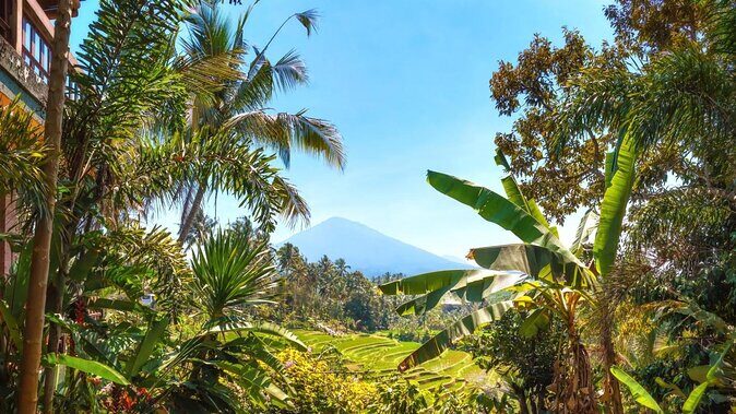 Jatiluwih Batukaru Mountain Nature's Best Tour - Exploring Bali Beyond the Beaches: A Deep Dive into the Jatiluwih Batukaru Mountain Natures Best Tour