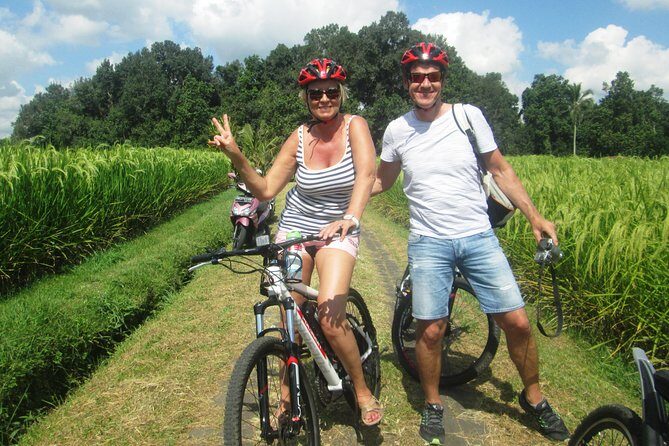 Jatiluwih in detail (1 h. e-bike tour in the rice terraces) - What Makes the Rice Terraces Special