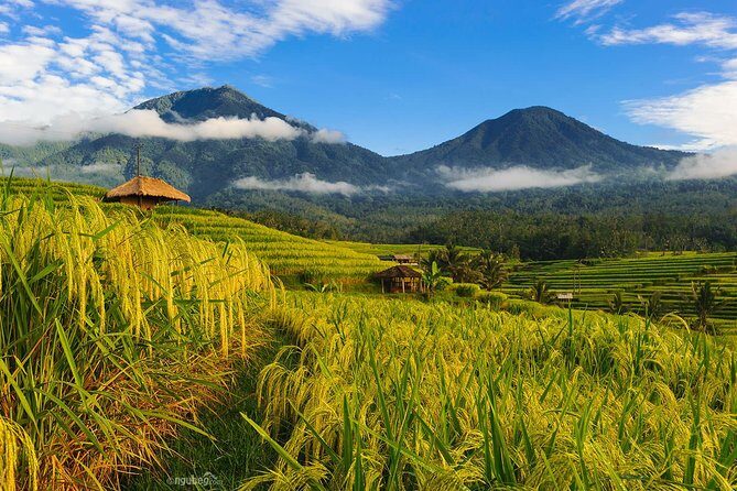 Jatiluwih Rice Terrace & Tanah Lot Tours - FAQs