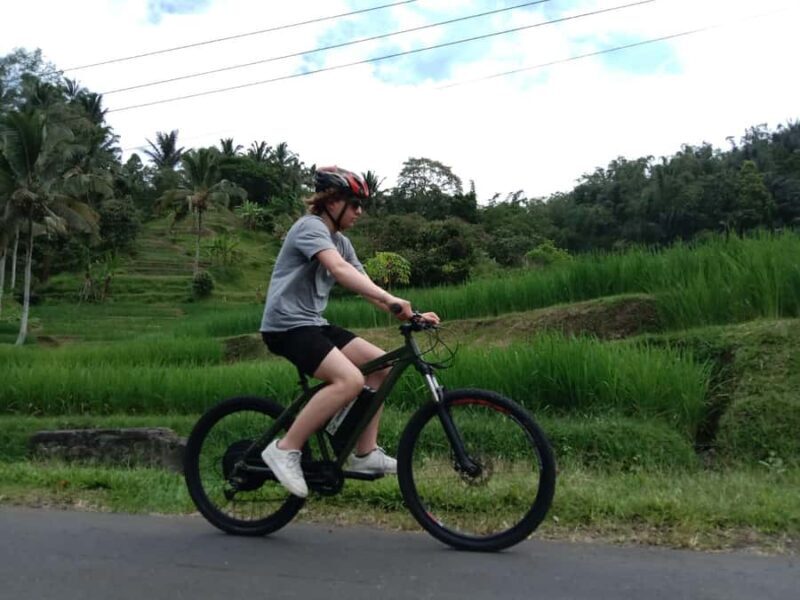 Jatiluwih (UNESCO Site) 2-Hour E-Bike Cycling Tour - Key Points