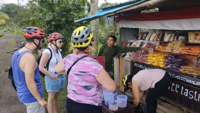 Jatiluwih (UNESCO Site) 2-Hour E-Bike Cycling Tour - The Itinerary: What to Expect from Start to Finish