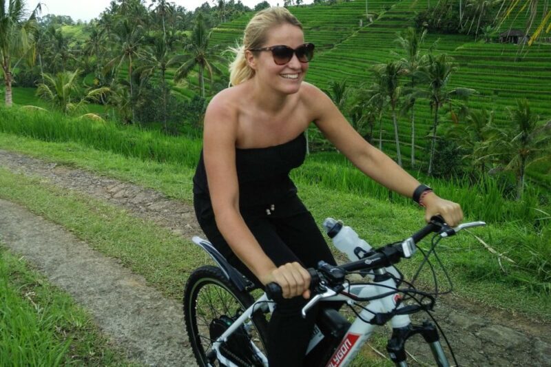 Jatiluwih (UNESCO Site) 2-Hour E-Bike Cycling Tour - Who Will Enjoy This Tour?