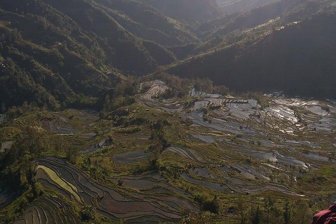 Jatiluwih UNESCO site and Ulundanu - A Full Day of Bali Highlights: The Itinerary in Detail