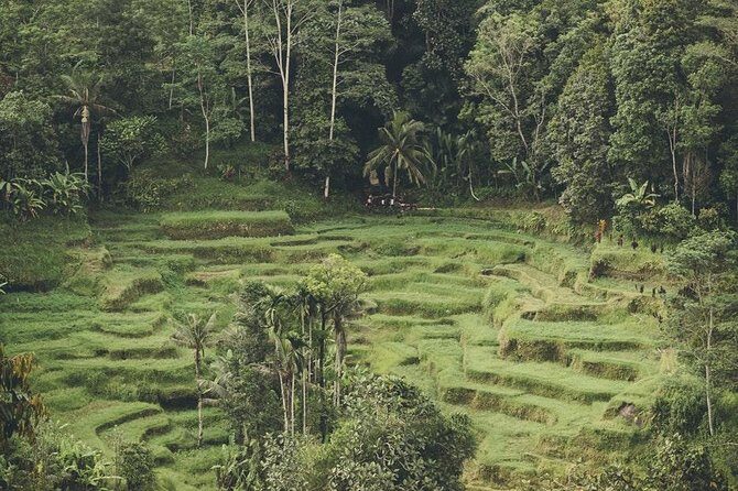 Jatiluwih UNESCO site and Ulundanu - Authentic Experiences and Traveler Insights