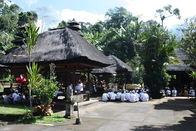 Jatiluwih VW Safari Bali Tour - Volkswagen Classic Car Trip - Final Thoughts on Value and Experience