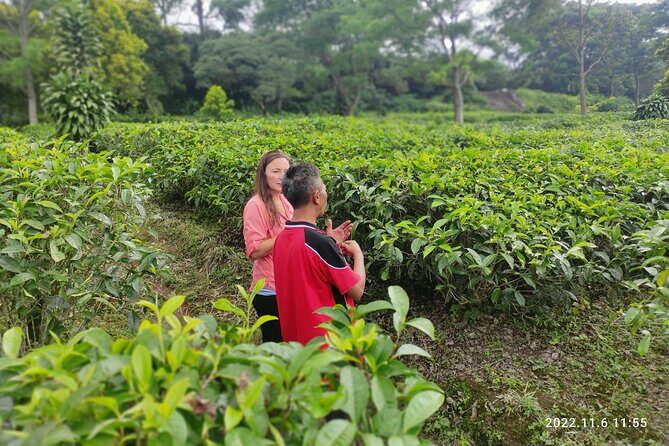 Java Classic Overland Tour - Why This Tour Could Be Perfect for You