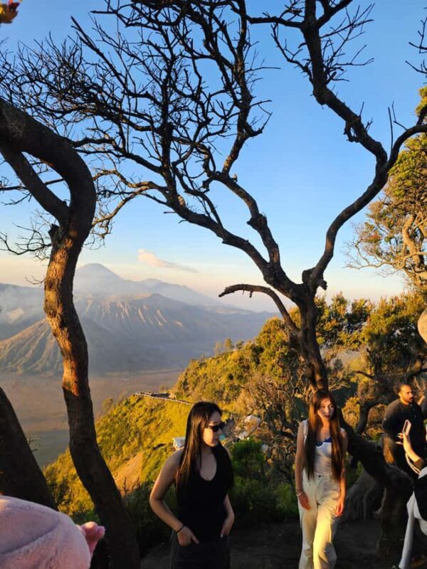 "Java Highlights: Yogyakarta to Bromo & Ijen Volcanoes" - The Value Proposition