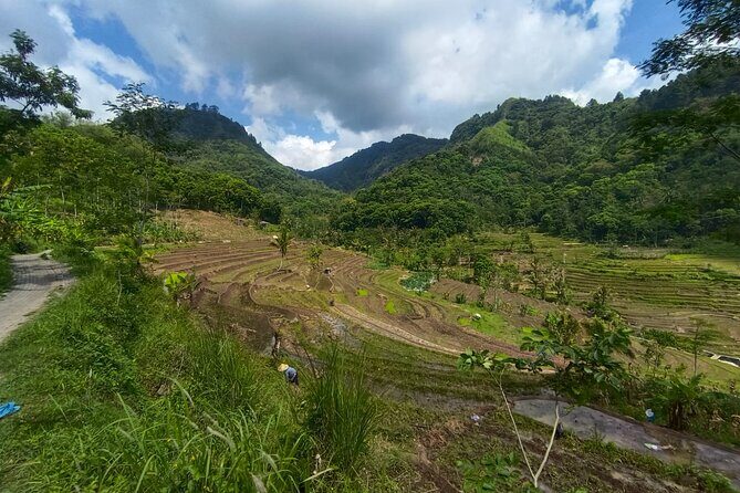 Java Village and Temple Tour from Borobudur - The Sum Up