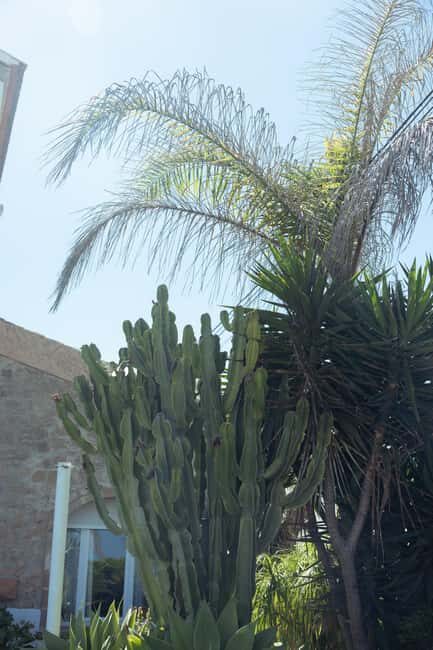 Jávea: 19/09 - Yoga & Brunch with Coffee/Tea, Juice & Cava - An In-Depth Look at the Experience in Jávea