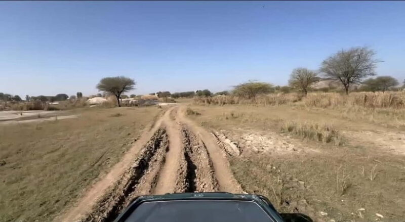 Jawai Leopard Safari 4x4 Gypsy Adventure with Guide - What’s Included and Why It Matters