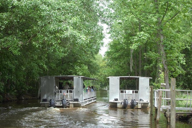 Jean Lafitte 90-Minute Swamp and Bayou Boat Tour - The Sum Up