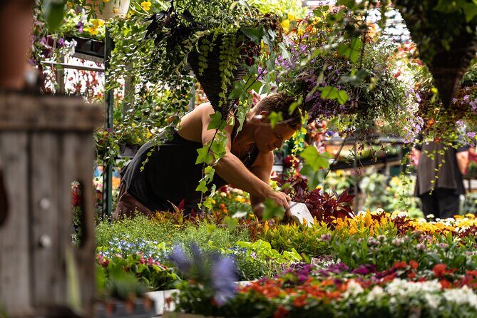 Jean-Talon Market & Little Italy Small Group Walking Tour - Practical Details