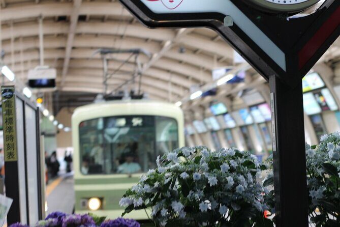 Jeans Kamakura and Enoshima 1 Day Walking Discovery Tour - A Closer Look at the Itinerary