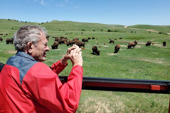 JEEP Bison Safari at Custer State Park - Family Friendly Prices - Final Thoughts: Is It Worth It?