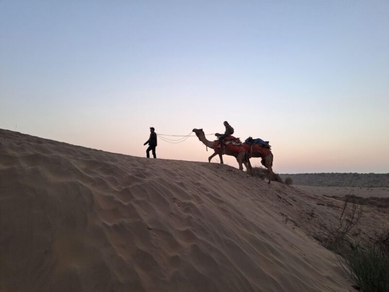 Jeep & Camel Ride, Musical Evening in The Desert Luxury Camp - Key Points