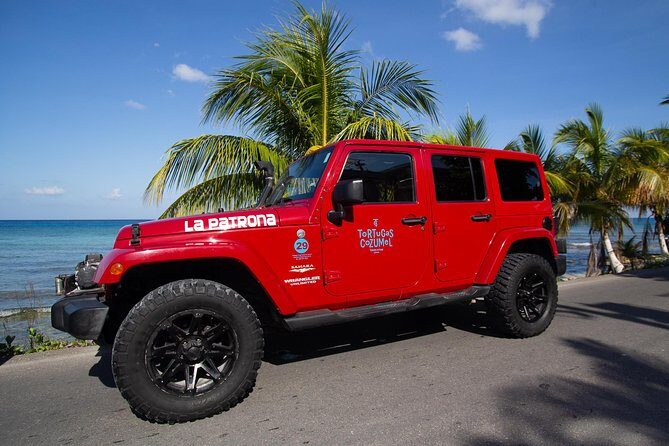 Jeep Exploration & All Inclusive Tortugas Beach Break (Private) - What Makes This Tour Stand Out