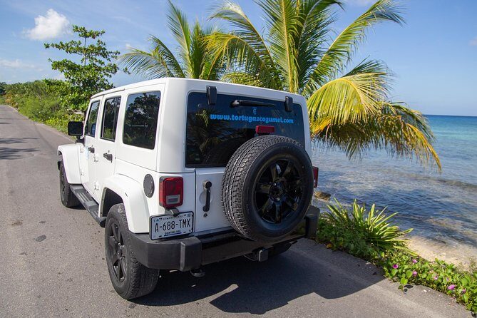 Jeep Exploration & All Inclusive Tortugas Beach Break (Private) - The Value Proposition & Who Its For