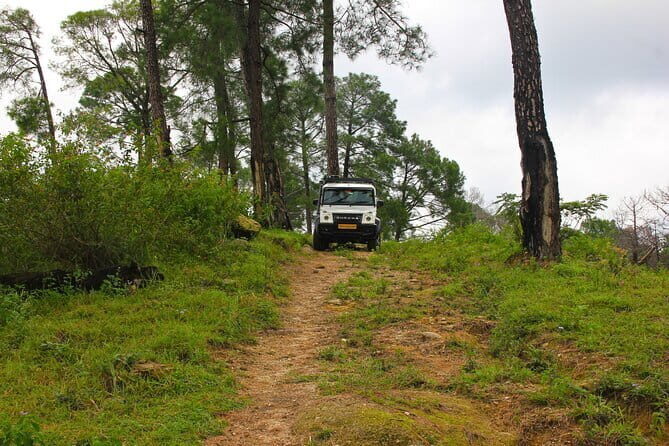 Jeep Safari and Picnic Tour - The Experience Breakdown: What to Expect