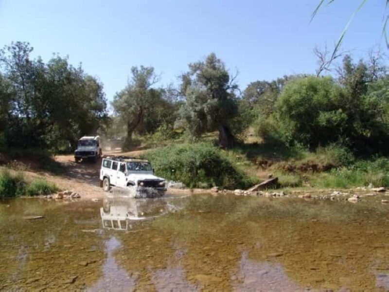 Jeep Safari & Benagil Boat Tour - A Deep Dive into the Experience