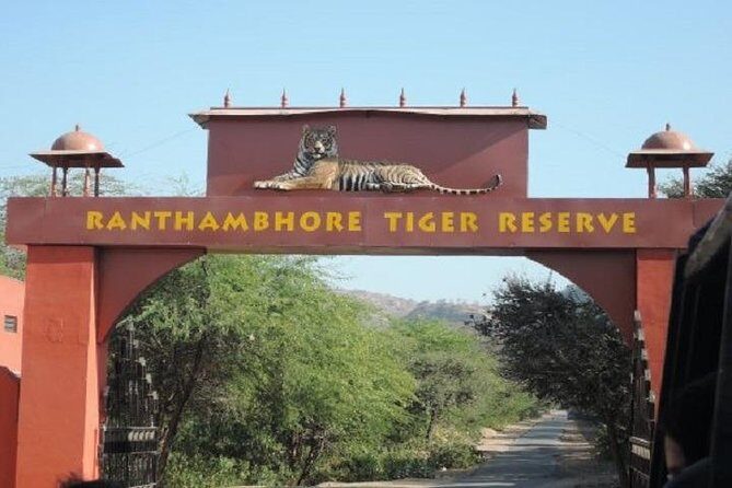 Jeep Safari Experience at Ranthambore National Park from Jaipur - Key Points