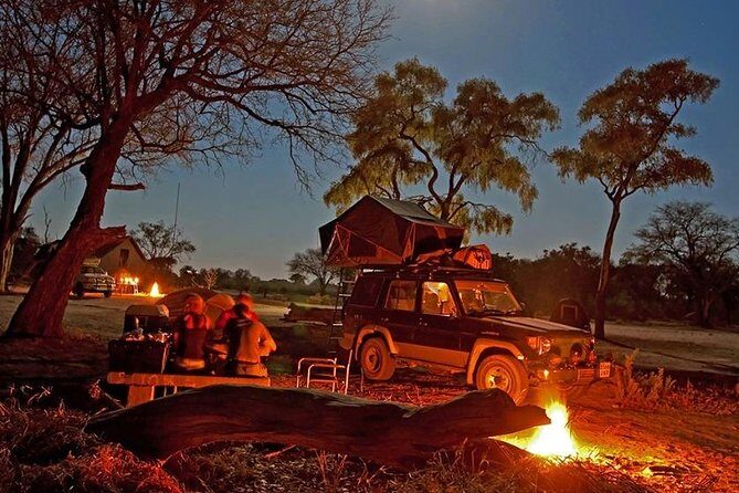 Jeep Safari Experience at Ranthambore National Park from Jaipur - The Sum Up: Is It Worth Your While?