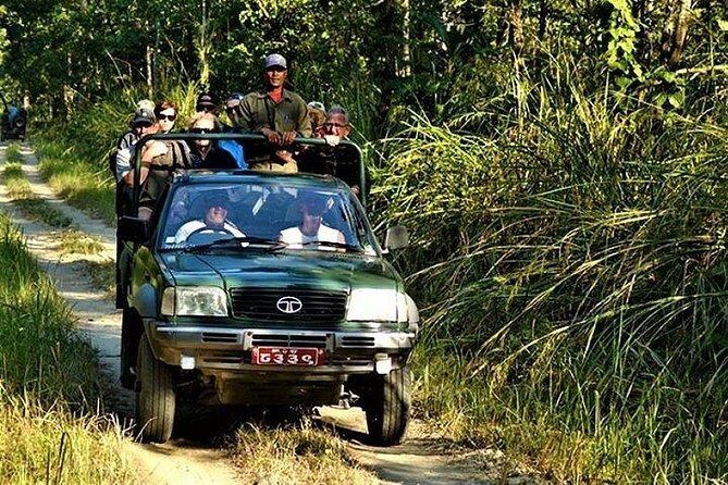 Jeep Safari in Chitwan National Park - The Itinerary Breakdown: What to Expect Each Day