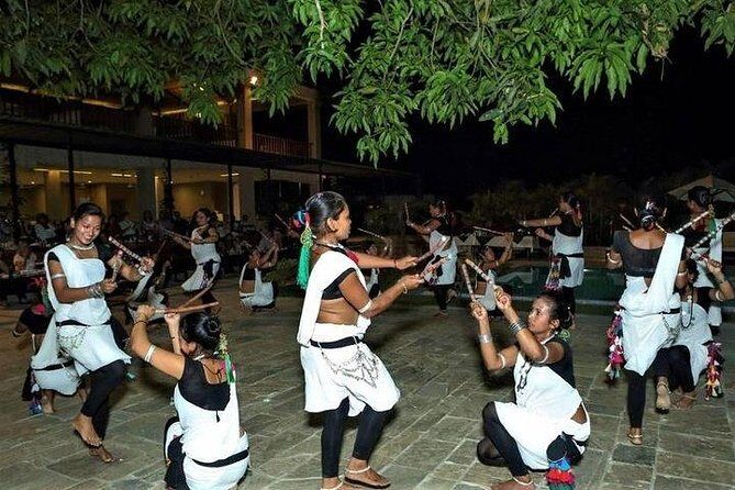 Jeep Safari in Chitwan National Park - Transportation and Logistics: Why They Matter